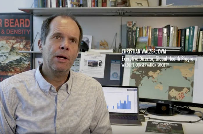 WCS Issues Short Video on Wuhan Coronavirus, Zoonotic Outbreaks: Where ...