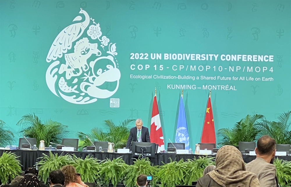 The Kunming-Montreal Global Biodiversity Framework Is ‘The Floor, Not A ...