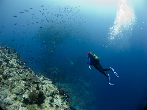 Achieving Fish Biomass Targets: The Key to Securing a Sustainable ...