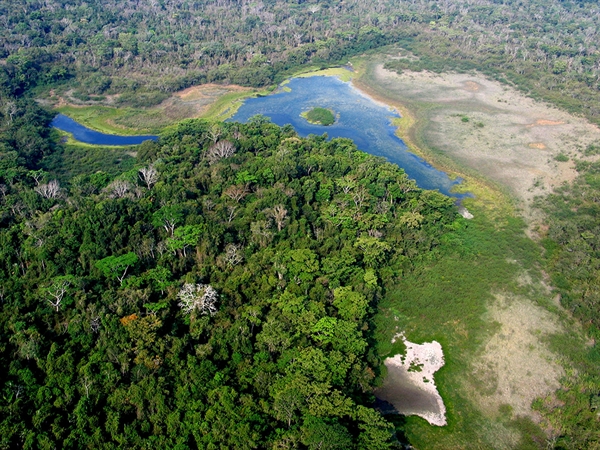 Feb. 19 -- Guatemala’s Maya Biosphere Reserve Celebrates 25 Years As ...