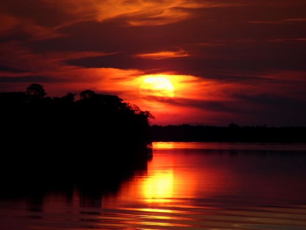 Brazil Creates Protected Area in Amazonia That Will Serve Needs of ...