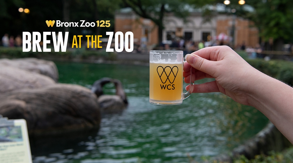 Cheers to 125 Years! Brew at the Zoo Returns to Celebrate Milestone ...