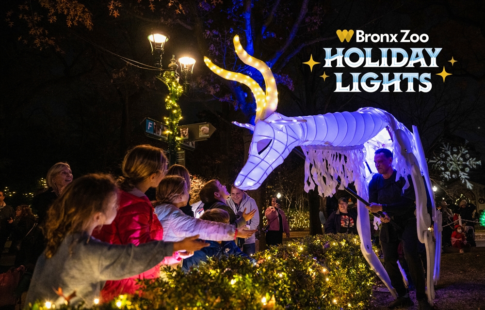 Bronx Zoo Family Festival Holiday Lights Returns with Millions of ...