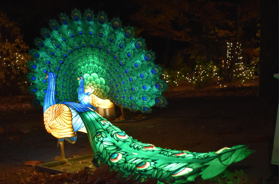 Bronx Zoo Holiday Lights Officially Open for the 2023 Holiday Season ...