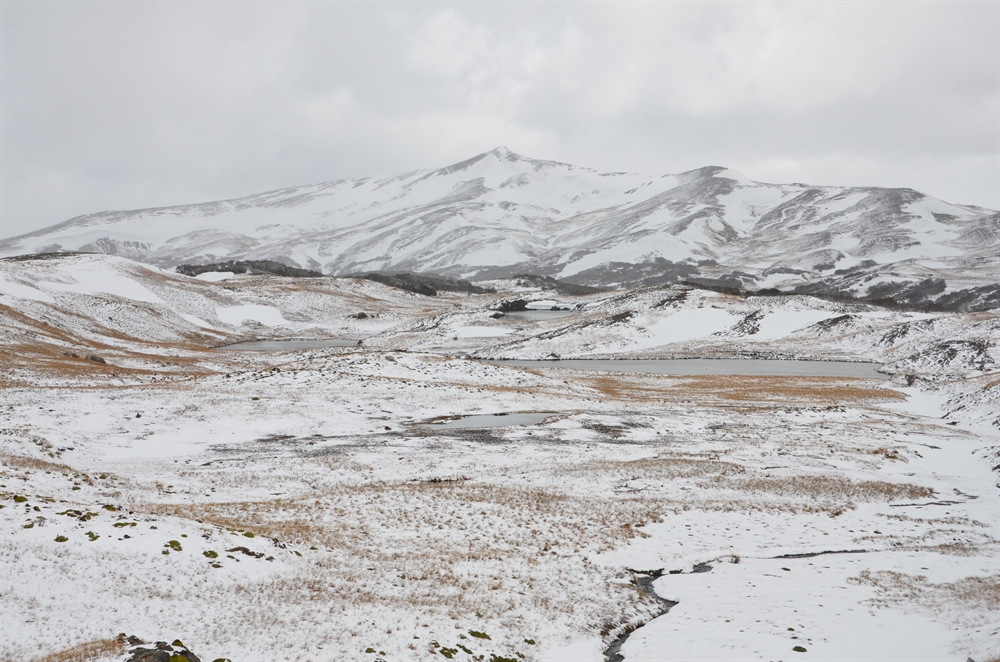 NEWS FROM CoP26: Study Says Climate Change Will Triple Impacts to World ...