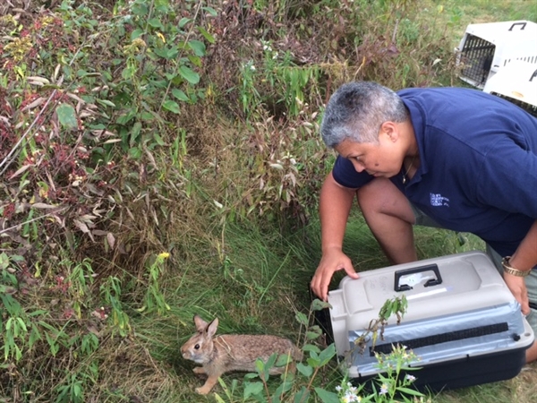 WCS’s Queens Zoo is Part of Federal, Six-State Partnership to Save New ...