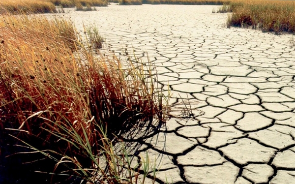 WCS: The World Needs Unified Action on Climate Change