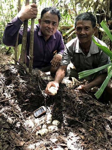 First Nest of Critically Endangered Siamese Crocodile Recorded in Sre ...