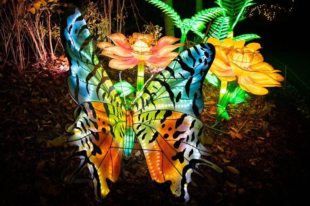 ‘Tis the Season: Bronx Zoo’s Holiday Lights Returns With New Displays ...