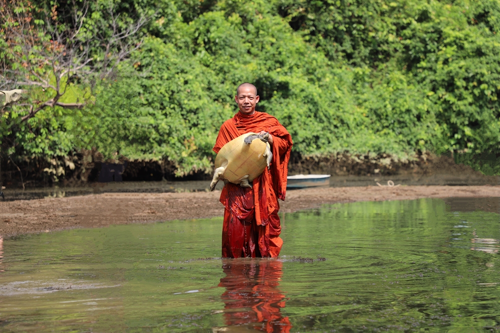 20 Royal Turtles Released Into Their Natural Habitat > Newsroom