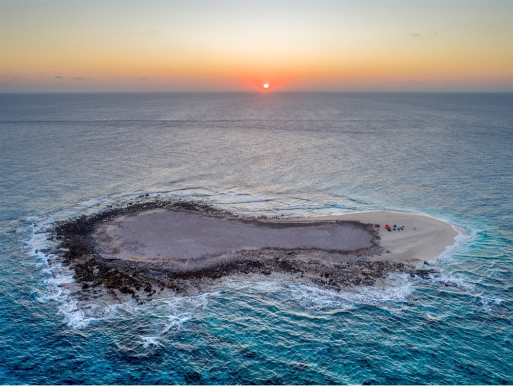 In Remote Tanzania, Research Expedition Uncovers Critically Endangered ...
