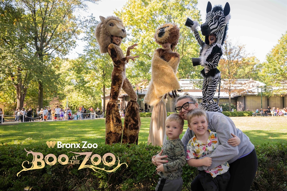 Bronx Zoo’s Boo at the Zoo Brings Animals, Halloween Thrills, and ...