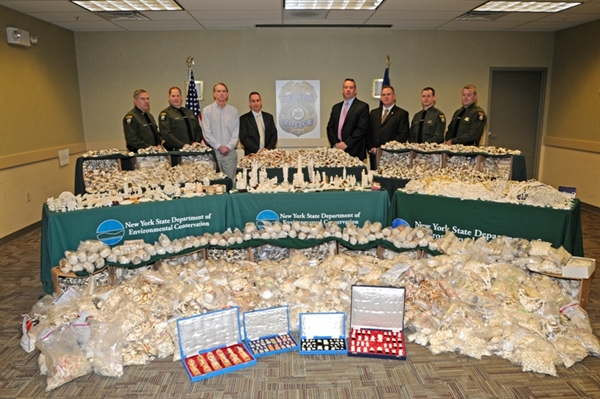 United States to Destroy More than One Ton of Confiscated Ivory at ...
