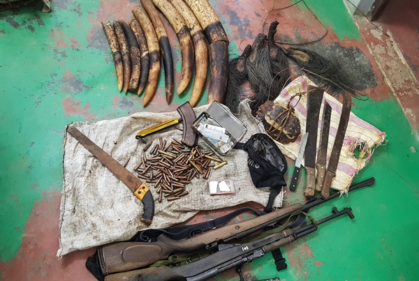 Professionalized Anti-Poaching Operations Led to Arrest and Conviction ...