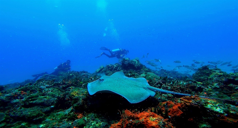 Conservation Leadership Programme Awardees Help Establish New ...