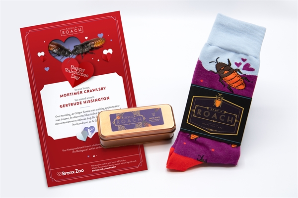 Keep Your Valentine Happy Forever and Name-A-Roach at the Bronx Zoo ...